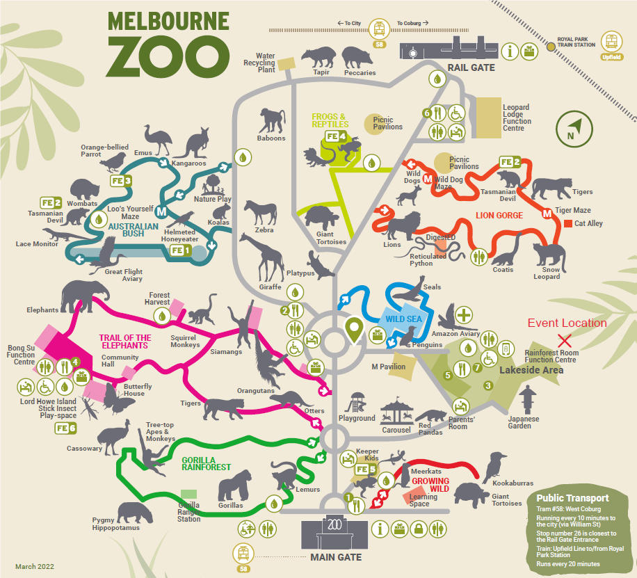 ANZSOM Victoria and Tasmania branch